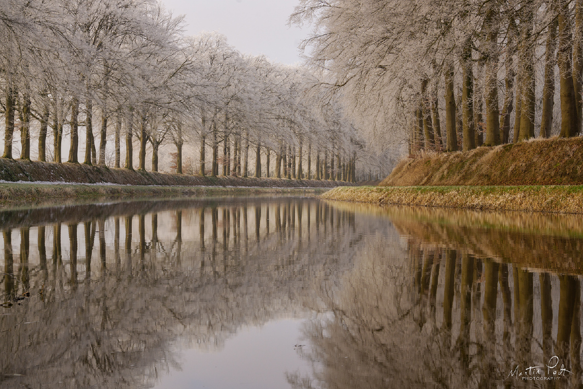 Frosty reflections - MartinPodt