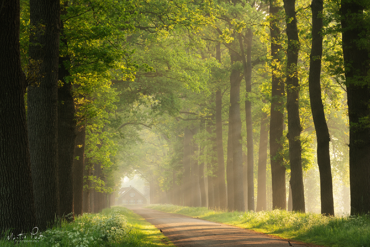 The house in spring light - MartinPodt