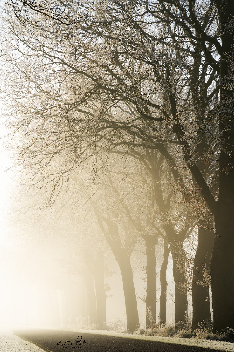 Fading into the light - MartinPodt