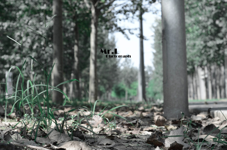 印象UFIDA - 玉米帝Jason