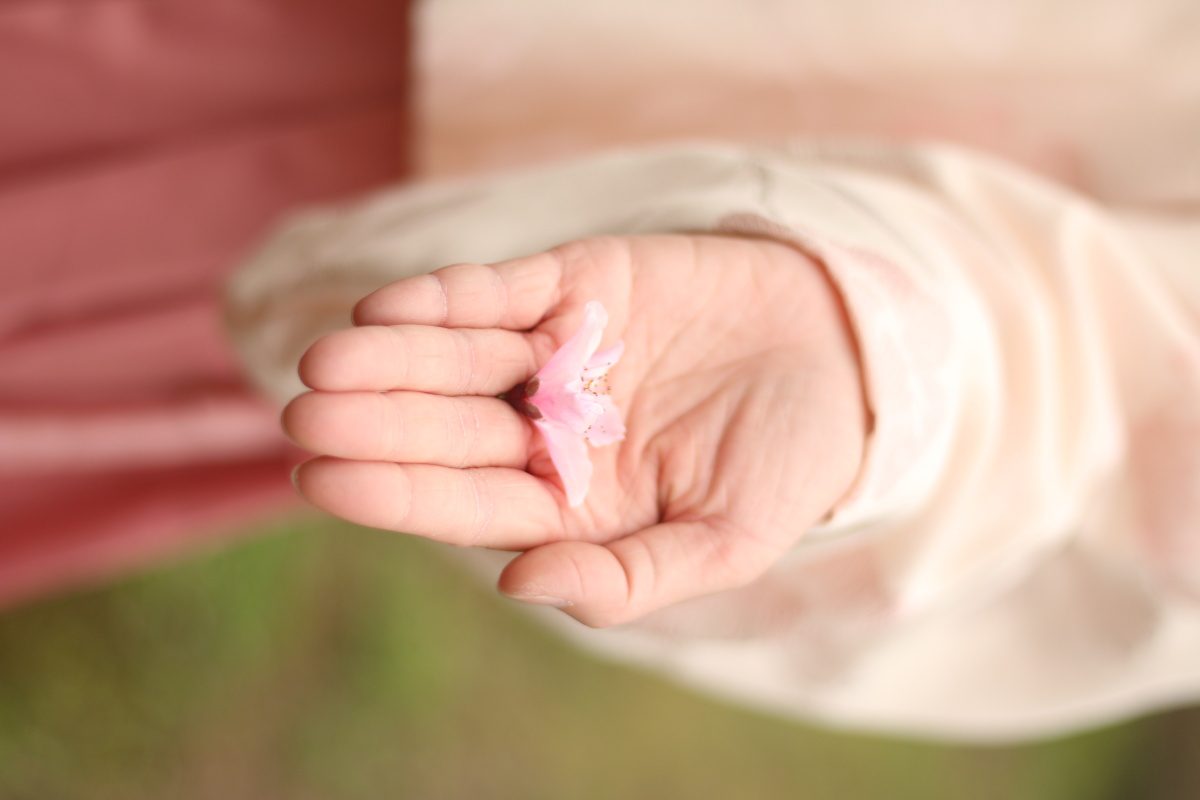 桃之夭夭 - Ruby_zhao