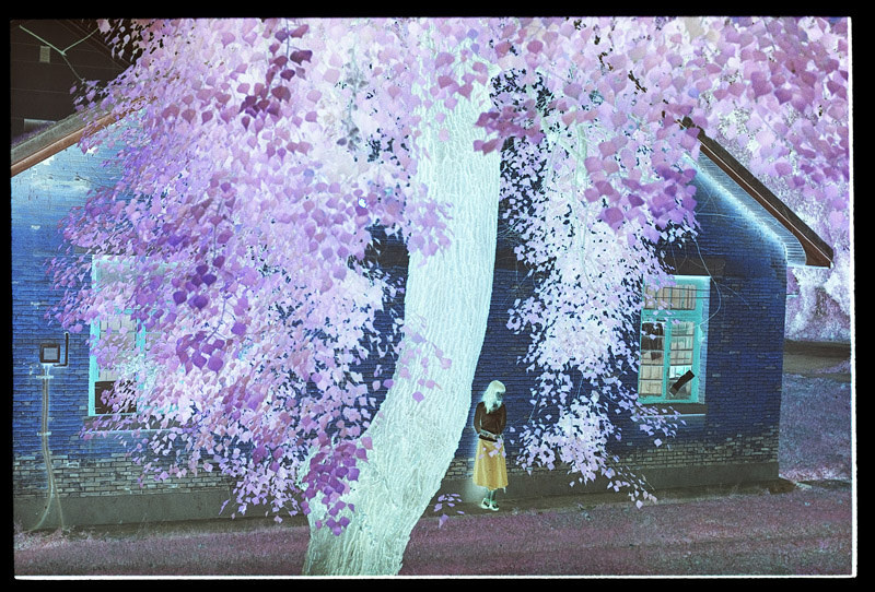 《负片里的梦境》 - 菲林日记馆